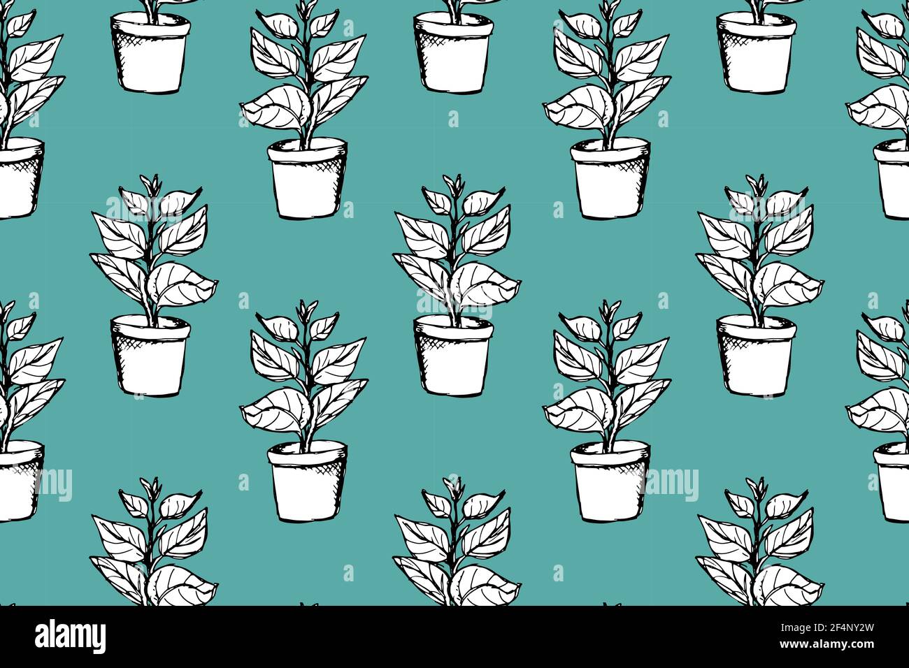 Flower pot ficus tree Stock Vector Images - Alamy