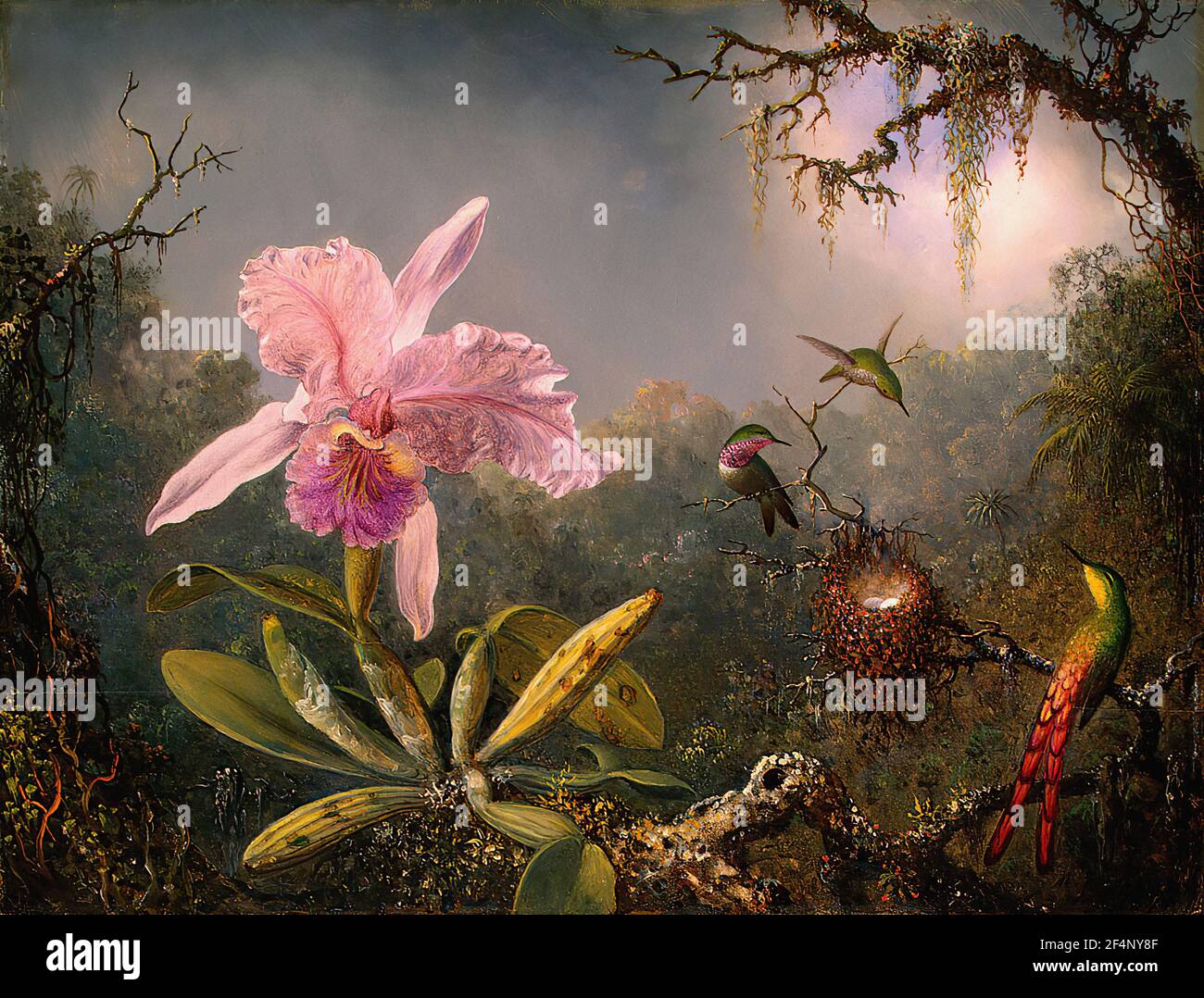 Martin Johnson Heade - Cattley Orchid Three Hummingbirds 1871 Stock ...