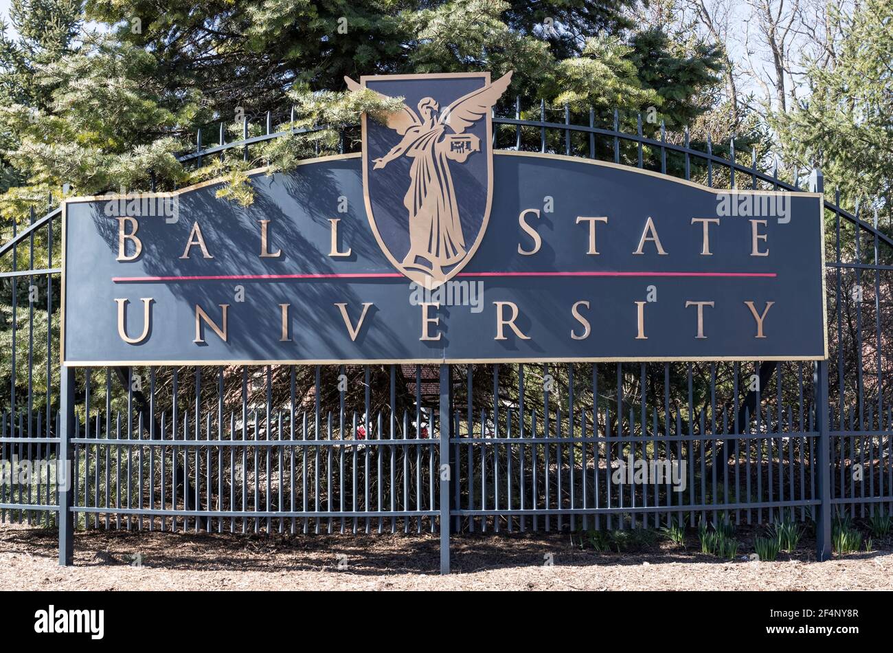 Ball State Cardinals High Resolution Stock Photography and Images - Alamy