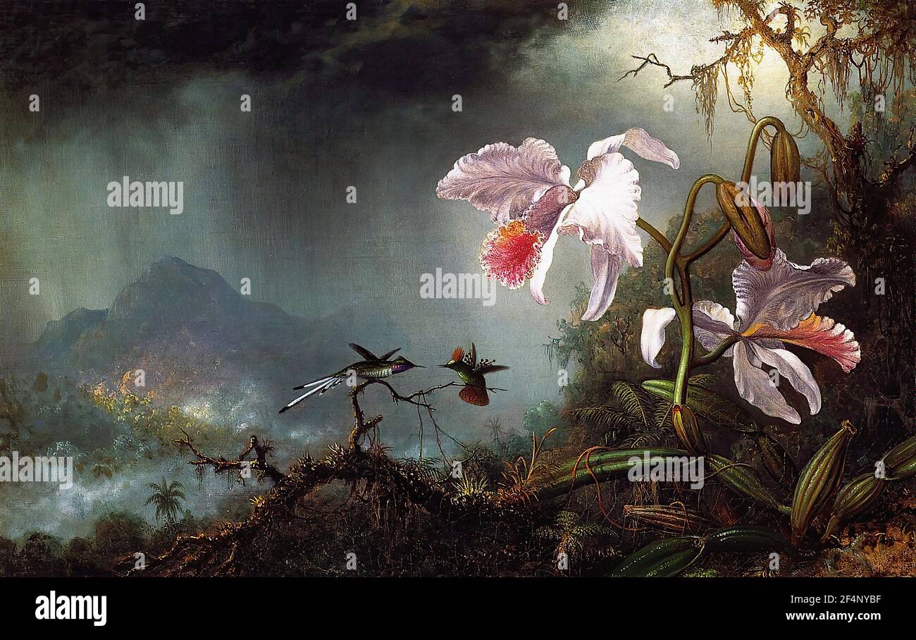 Martin Johnson Heade - Two Fighting Hummingbirds with Two Orchids 1875 ...