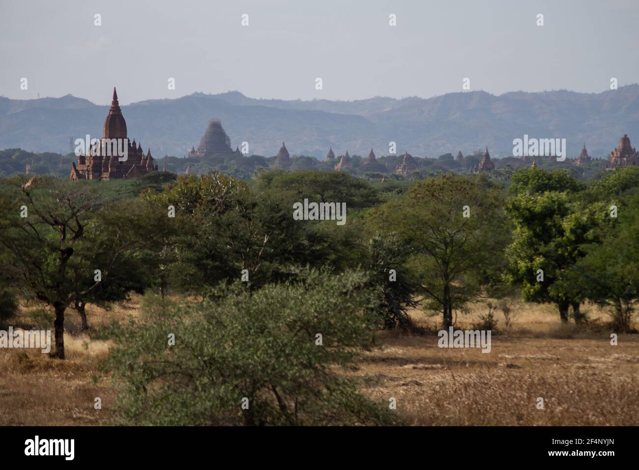 BAGAN, NYAUNG-U, MYANMAR - 3 JANUARY 2020: The top of old and ...