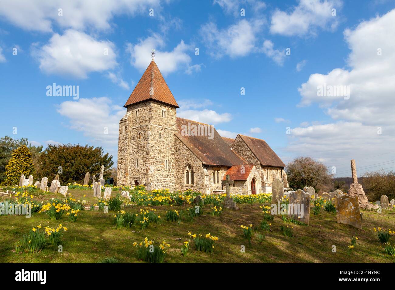 Spring daffodils at St Laurence Church, Guestling, East Sussex, UK ...