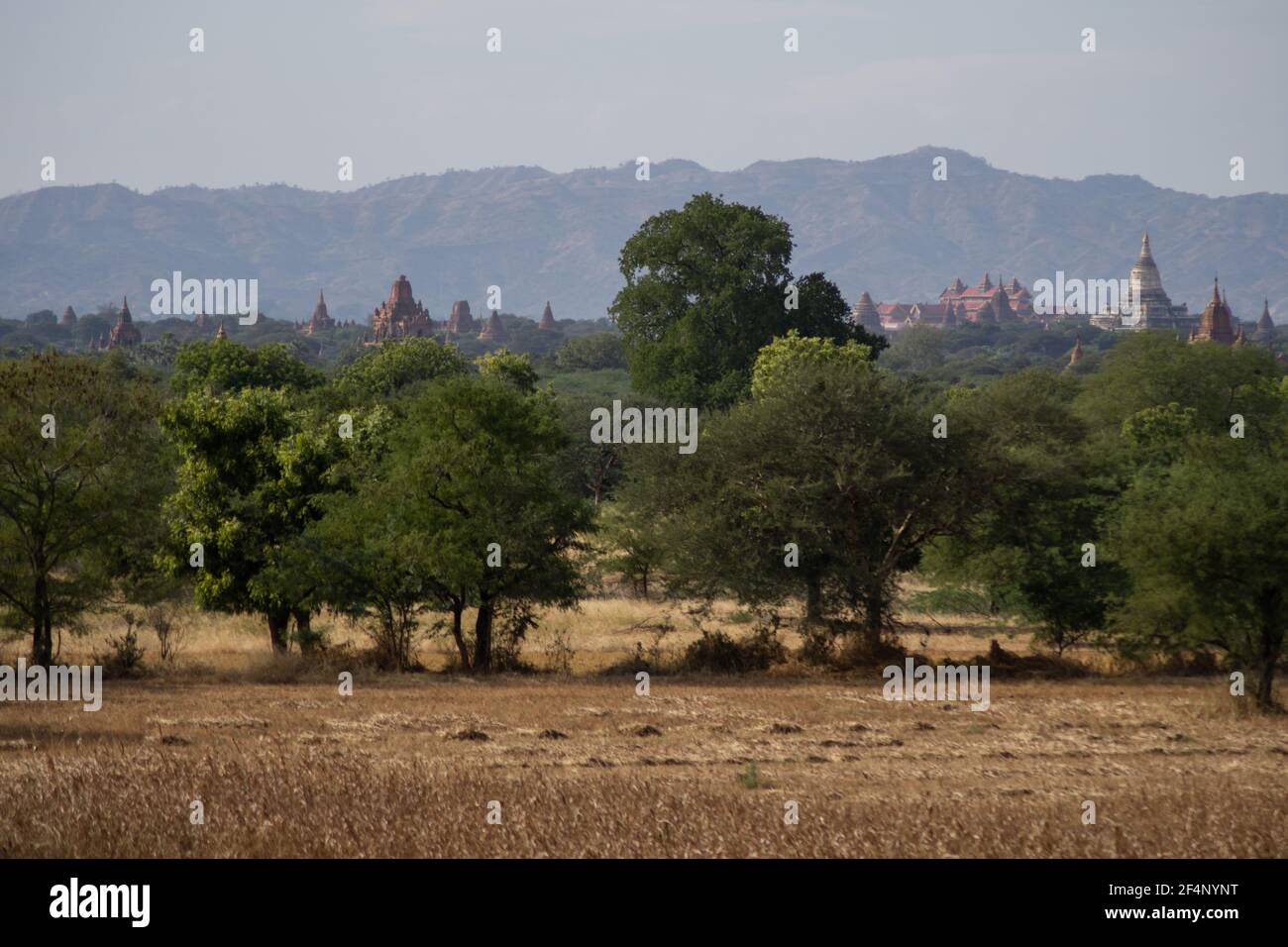 BAGAN, NYAUNG-U, MYANMAR - 3 JANUARY 2020: The top of old and ...