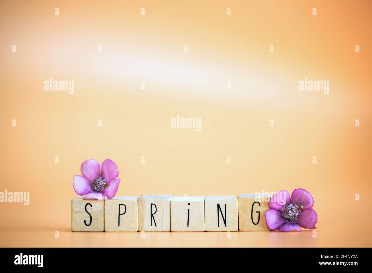 Spring Text on bright pastel colored orange background with colorful ...