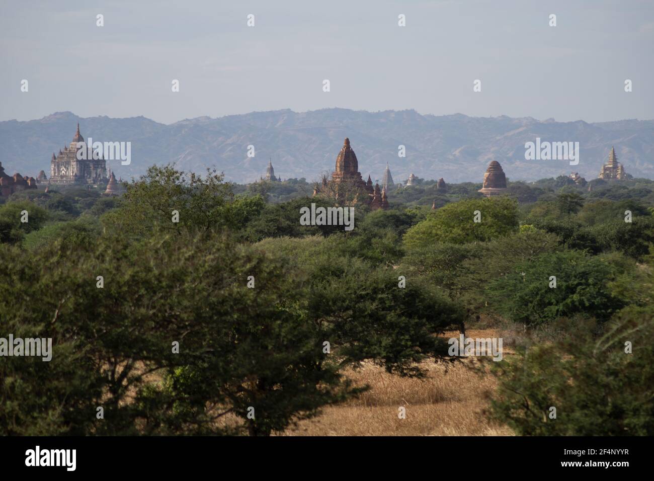 BAGAN, NYAUNG-U, MYANMAR - 3 JANUARY 2020: The top of old and ...