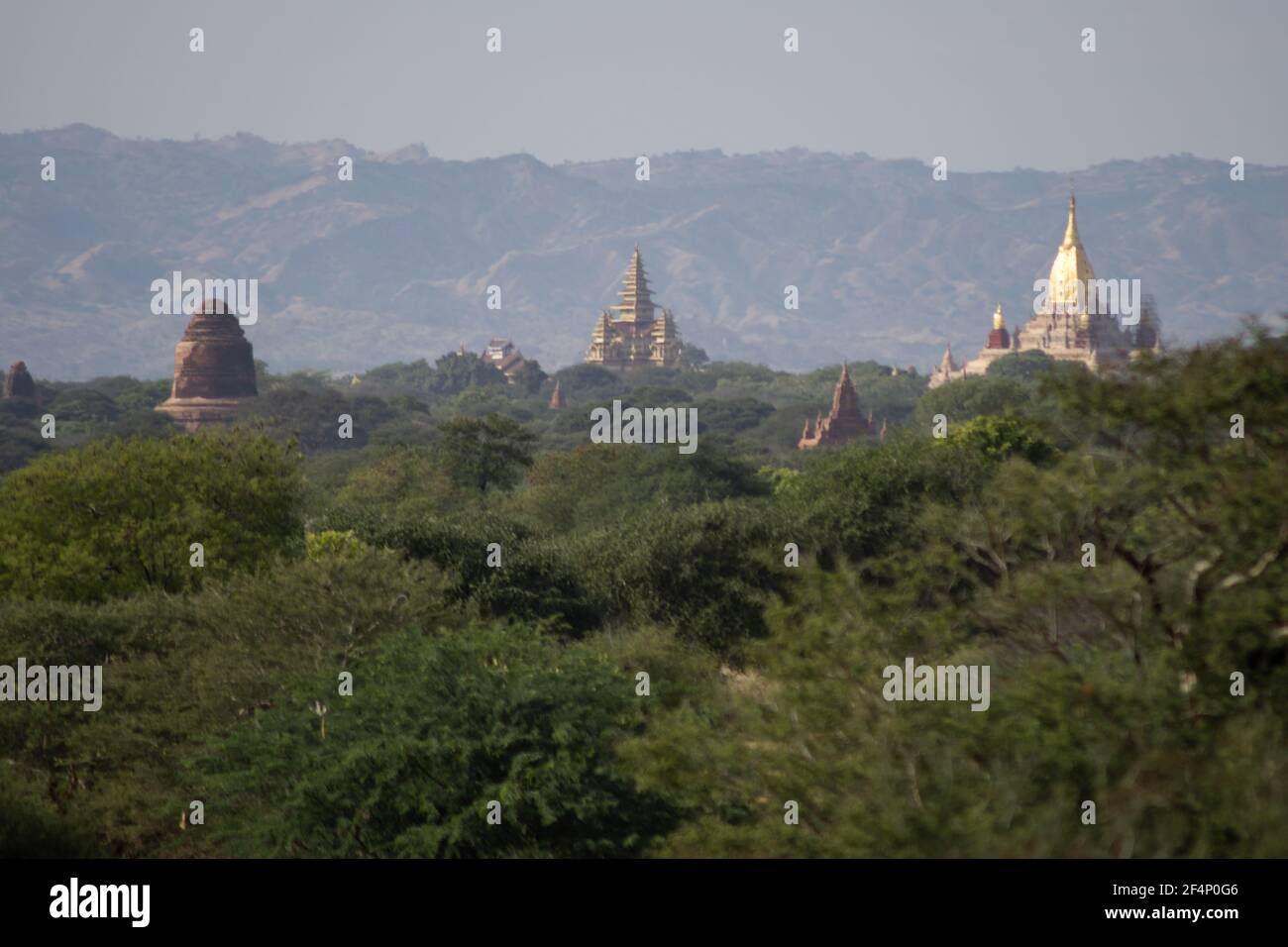BAGAN, NYAUNG-U, MYANMAR - 3 JANUARY 2020: The top of old and ...