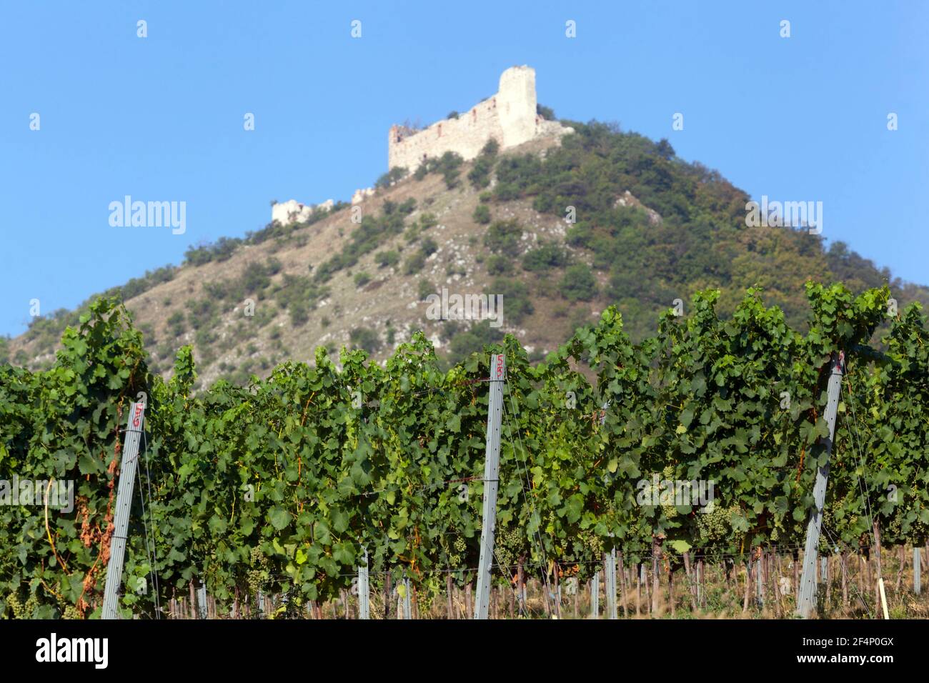 Devicky castle divci hrady hi-res stock photography and images - Alamy