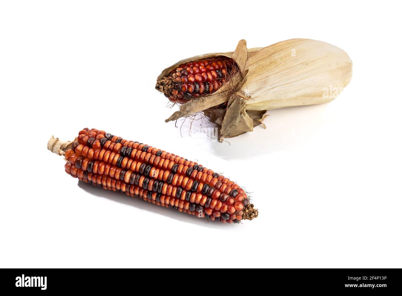Cobs of red corn isolated on white background. Raw maize Stock Photo ...