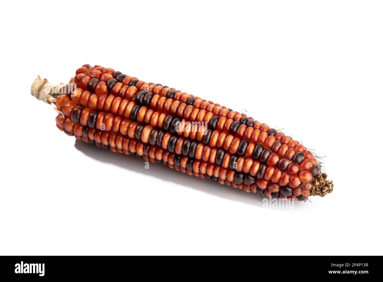 Cob of red corn isolated on white background. Raw maize Stock Photo - Alamy