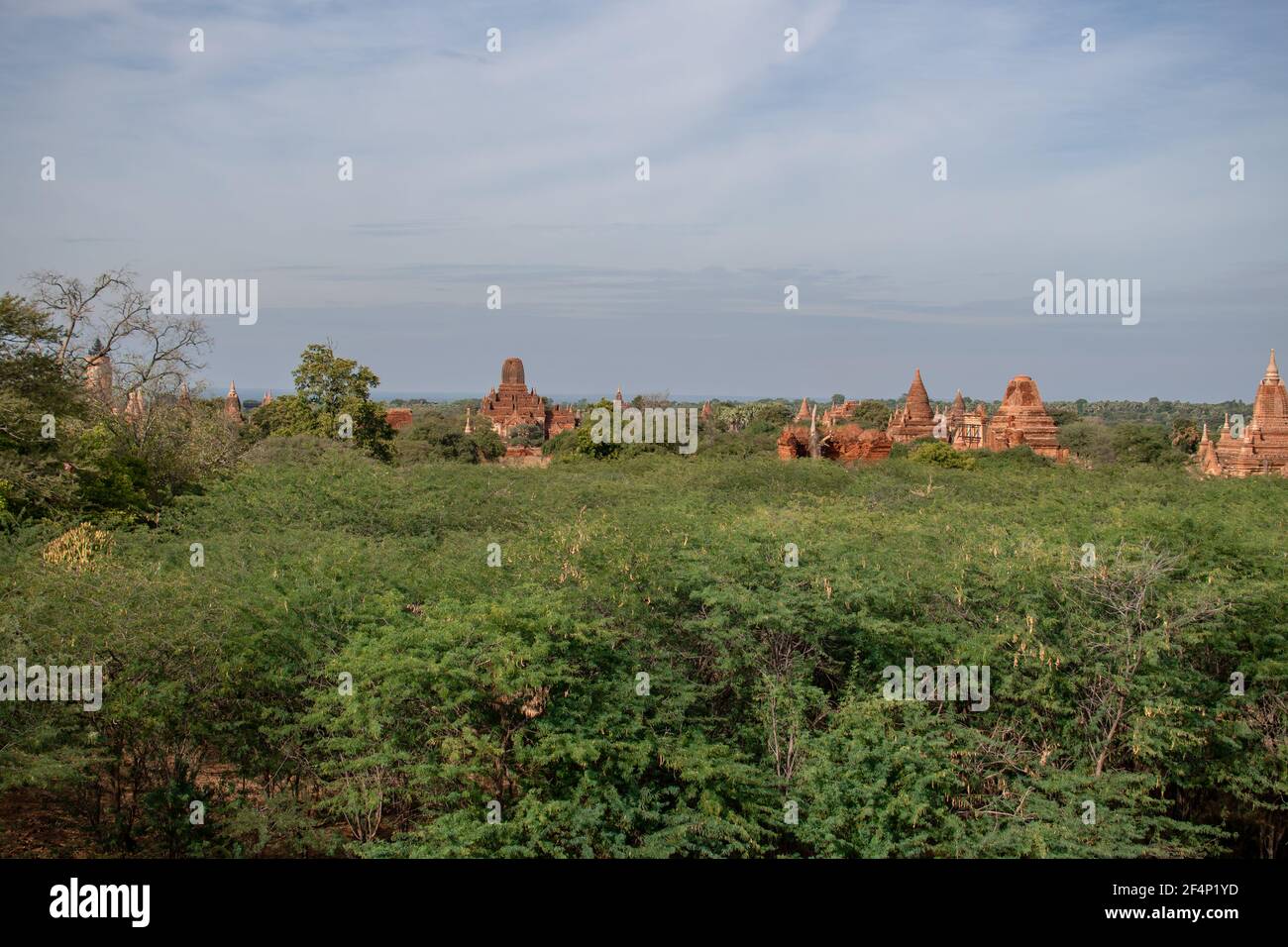 Trees of bagan hi-res stock photography and images - Alamy