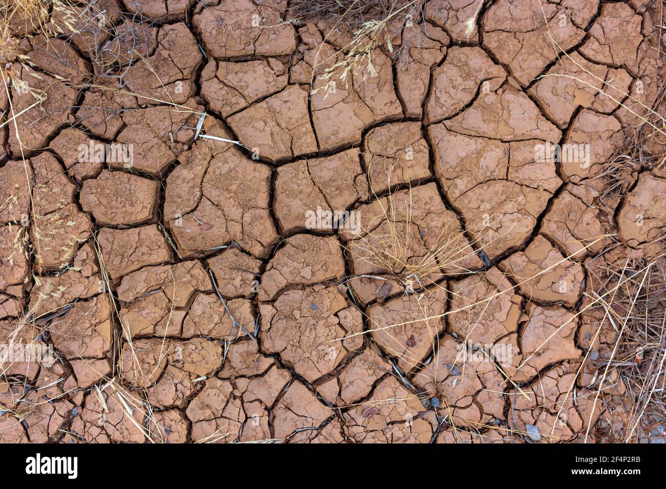 Arid texture hi-res stock photography and images - Alamy