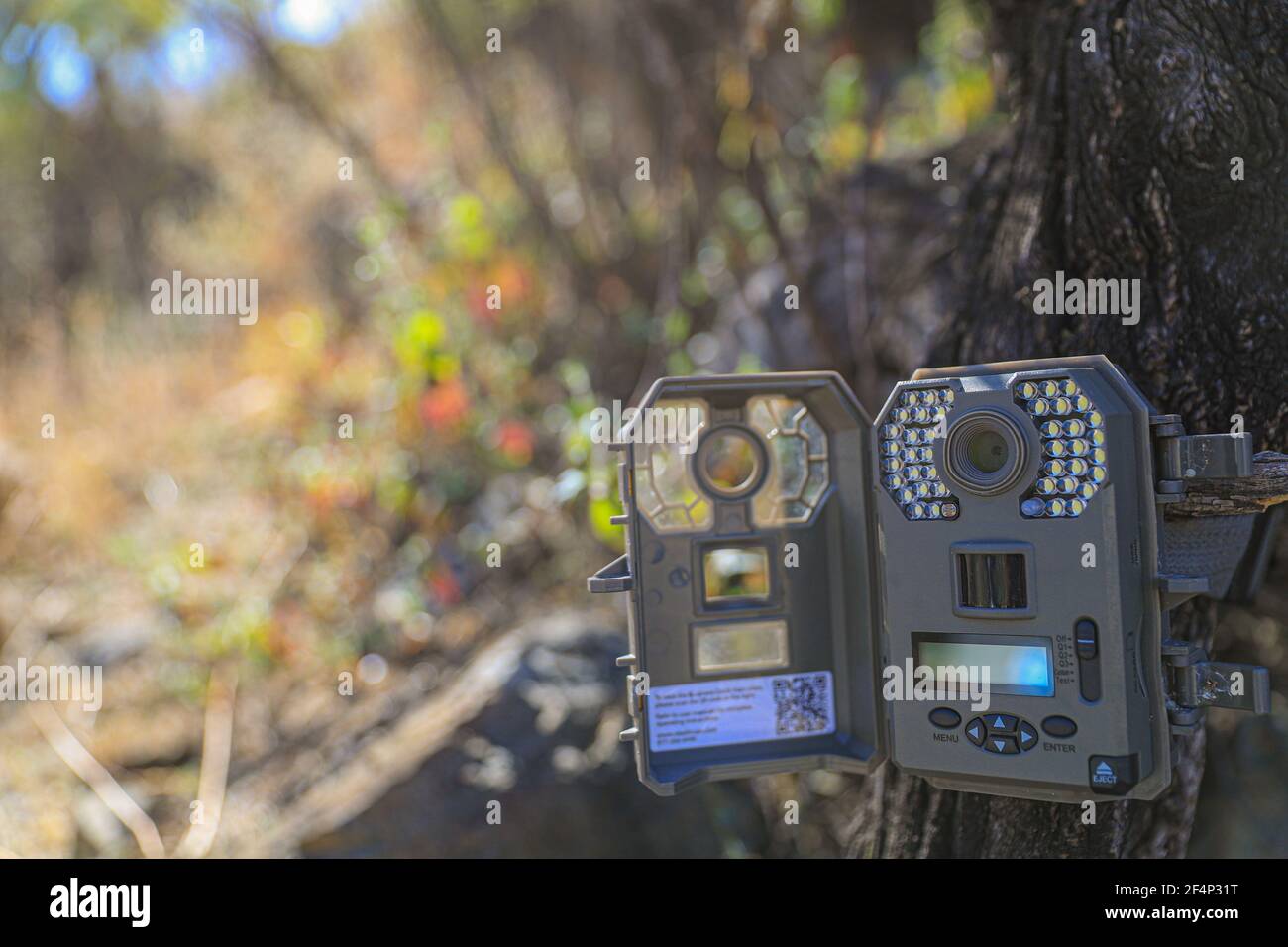 Terrain Trap High Resolution Stock Photography and Images - Alamy