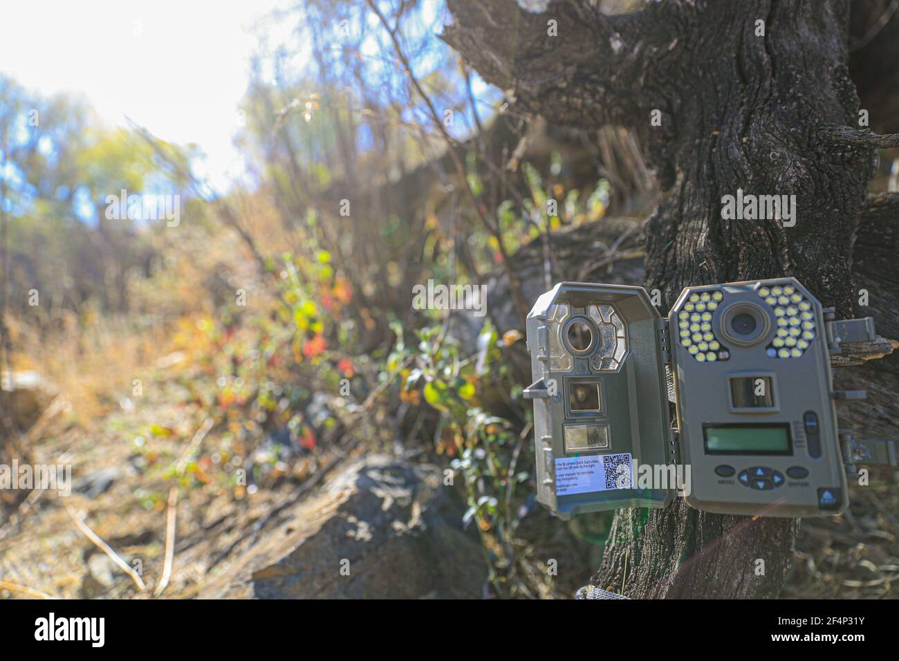 Terrain Trap High Resolution Stock Photography and Images - Alamy