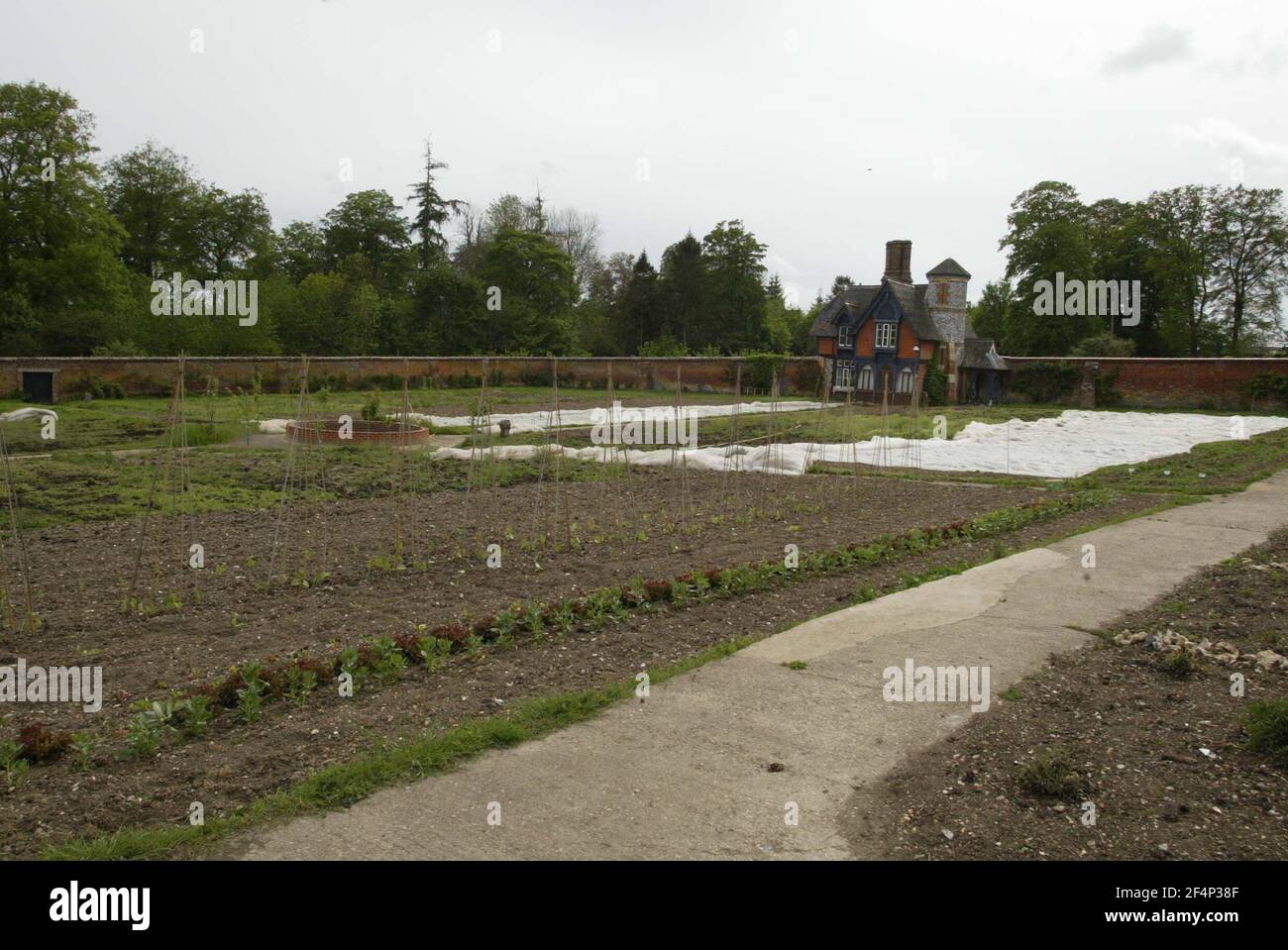 Jody Scheckter on his farm Laverstoke Park farm in Hampshire pic David ...