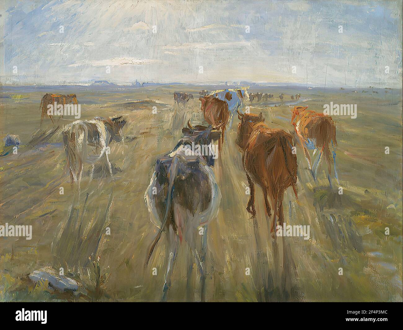 Theodor Philipsen - Long Shadows Cattle Island Saltholm 1890 Stock ...