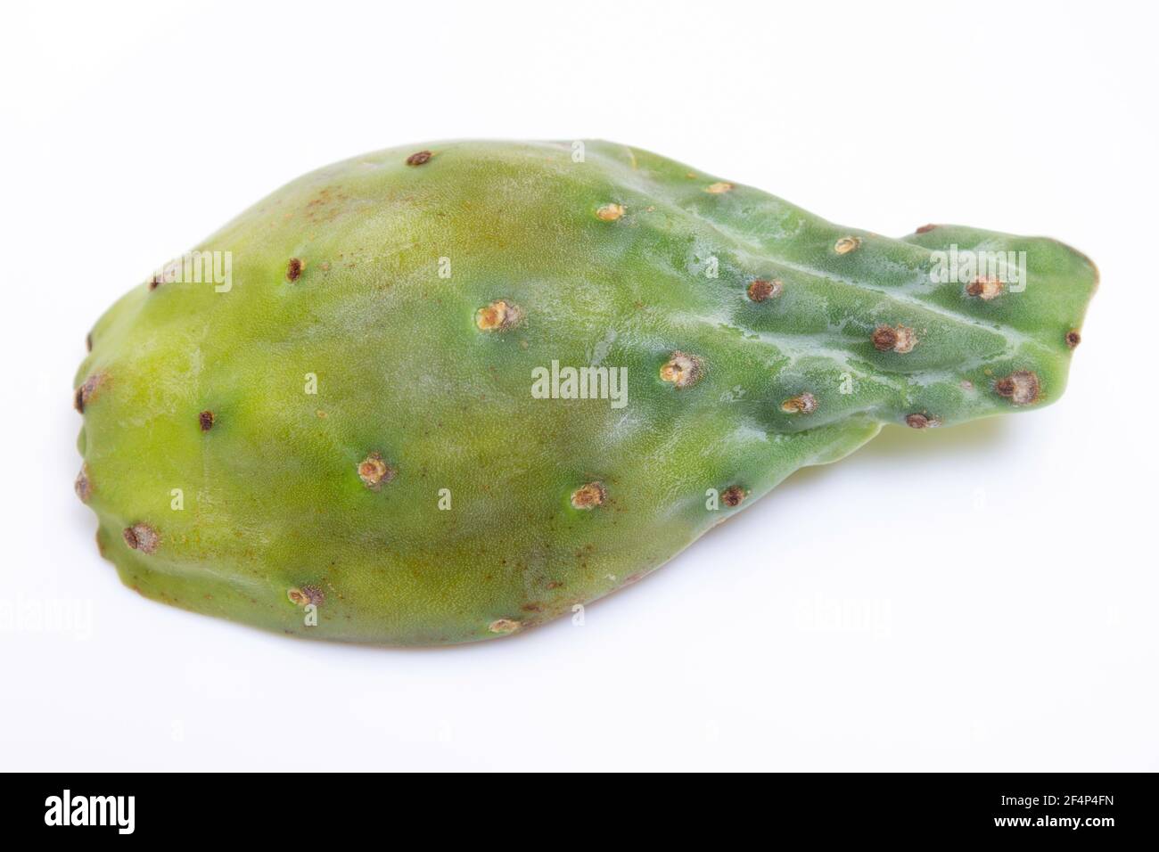 Juicy cut fruit of the edible prickly pear cactus - on a white ...