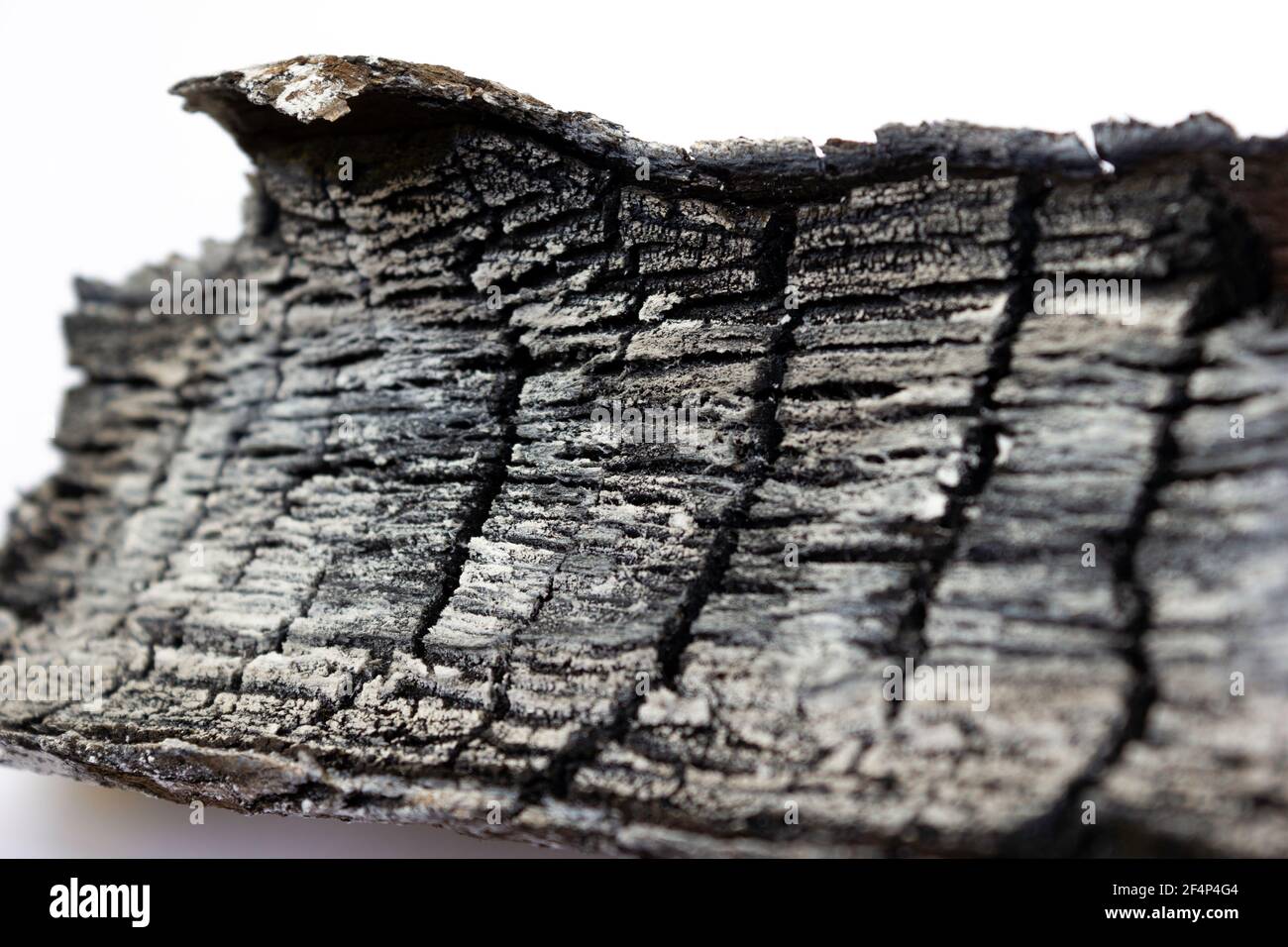 Ash wood texture hi-res stock photography and images - Alamy