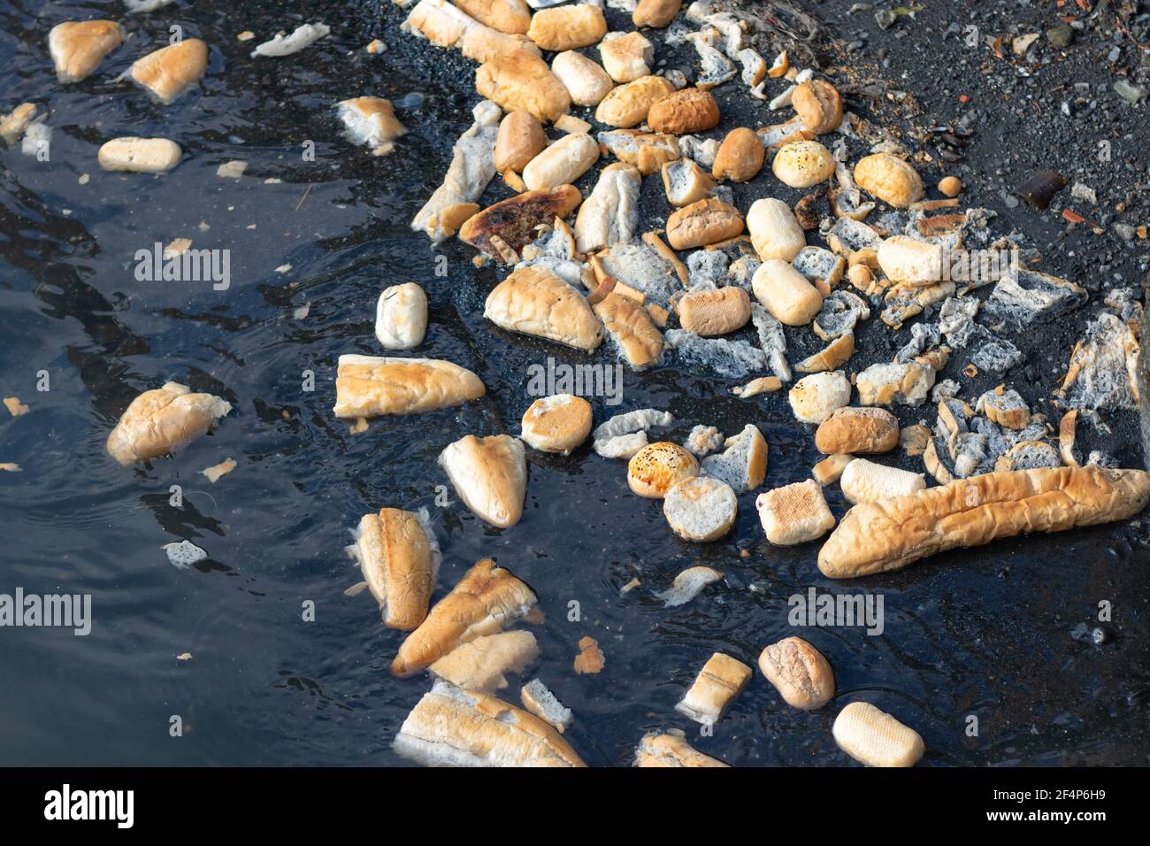 food waste background photo. breads on the sea. food waste problem ...