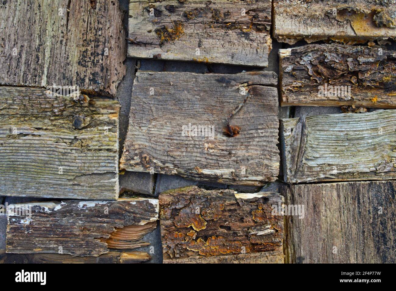 The mosaic is composed of many old half-ruined rotten boards Stock ...