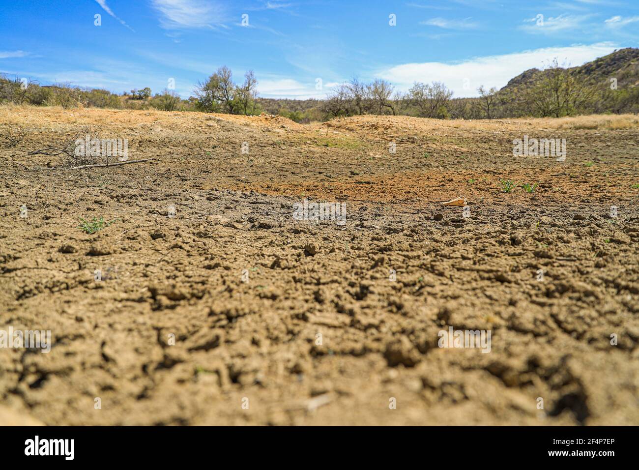 Cracked soil in the dry dam during extreme drought in the Sonoran ...