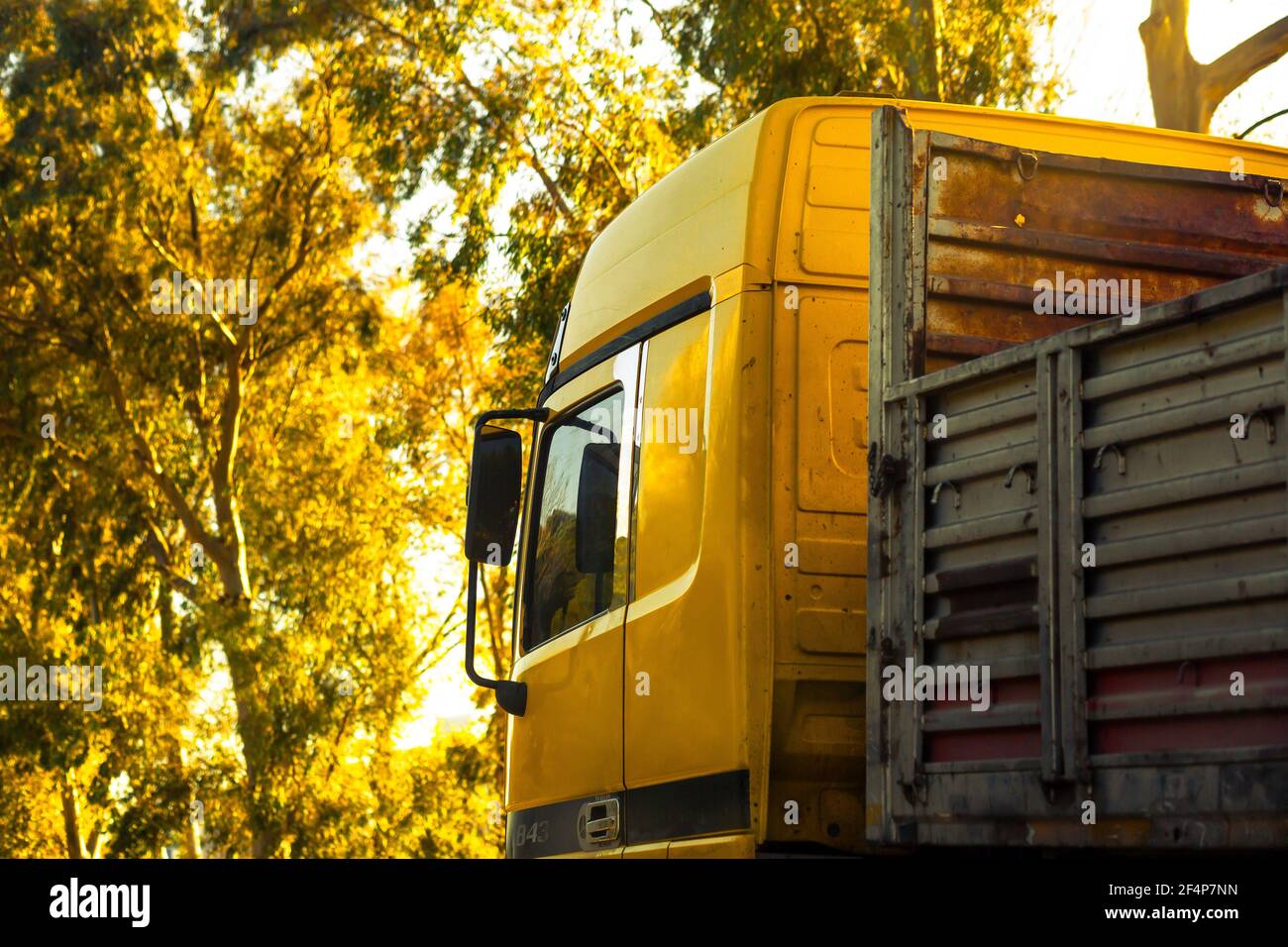 Yellow tree leaves and yellow truck Stock Photo - Alamy