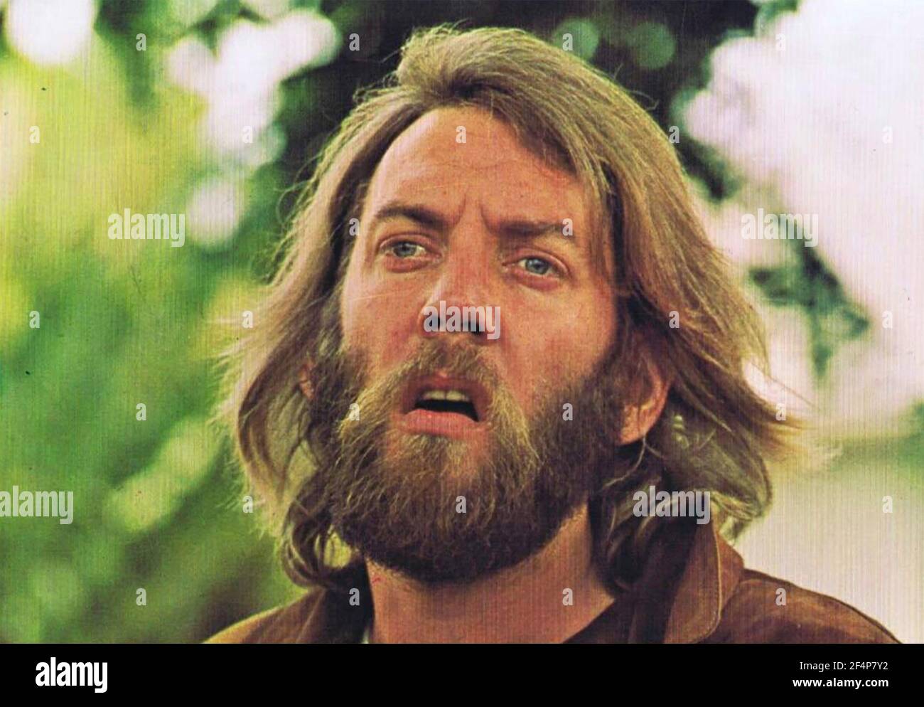 ALEX IN WONDERLAND 1970 MGM film with Donald Sutherland as film ...