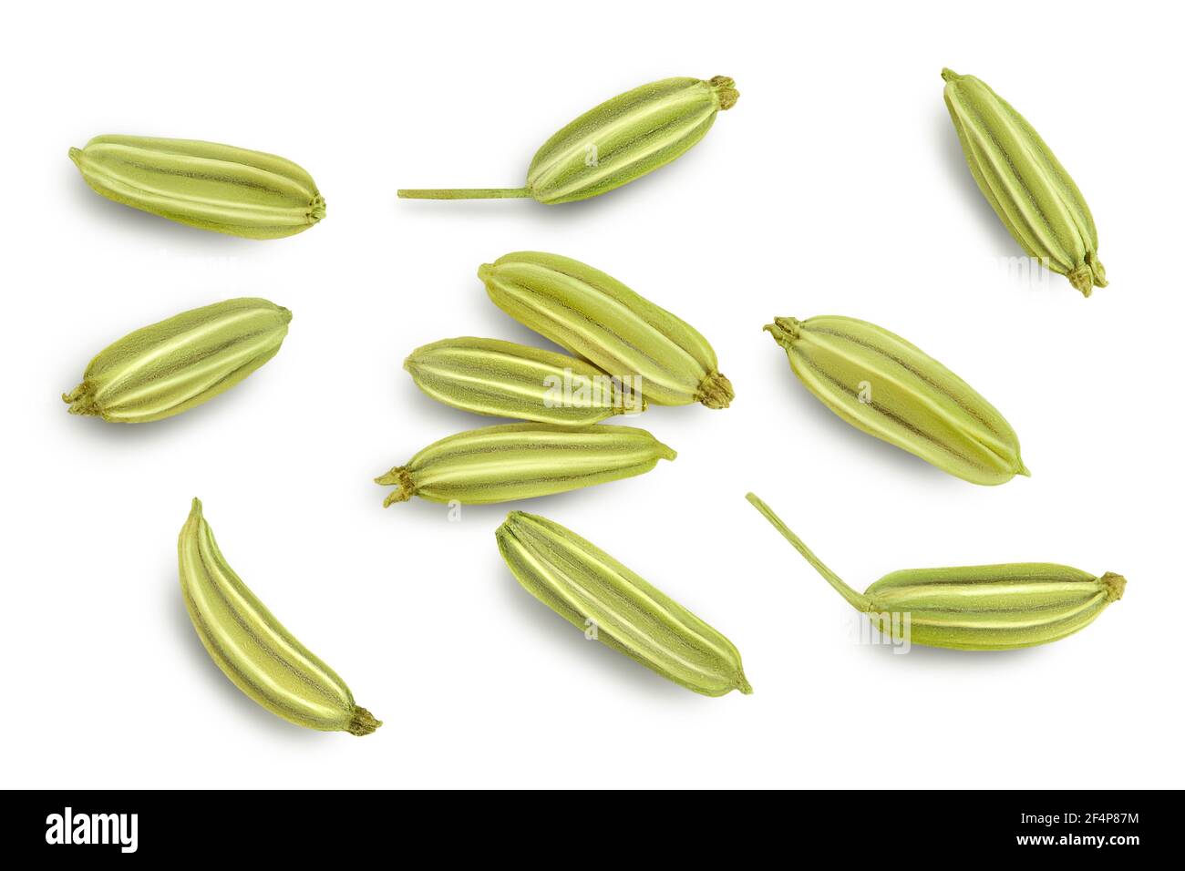 Dried fennel seeds isolated on white background with clipping path. Top ...