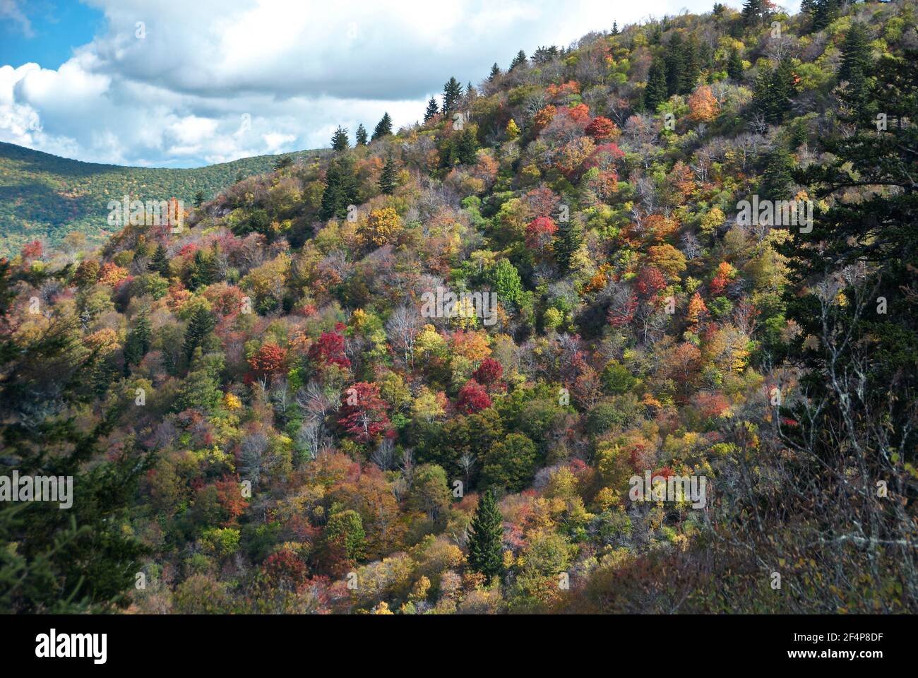 Indian summer hi-res stock photography and images - Alamy