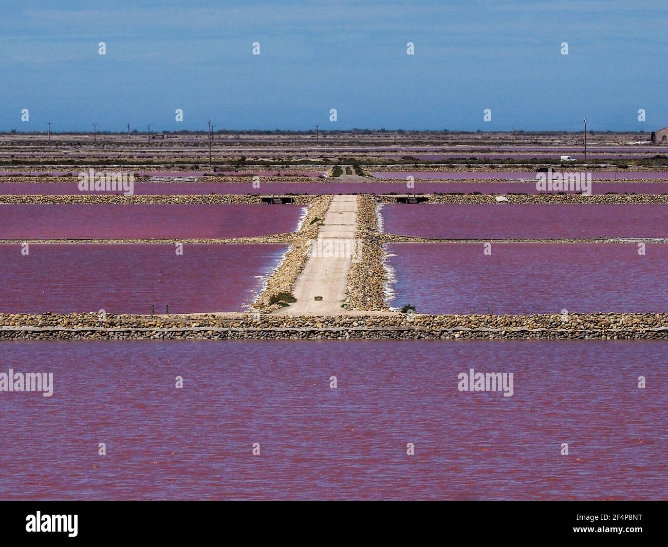 Camargue salt flats hi-res stock photography and images - Alamy