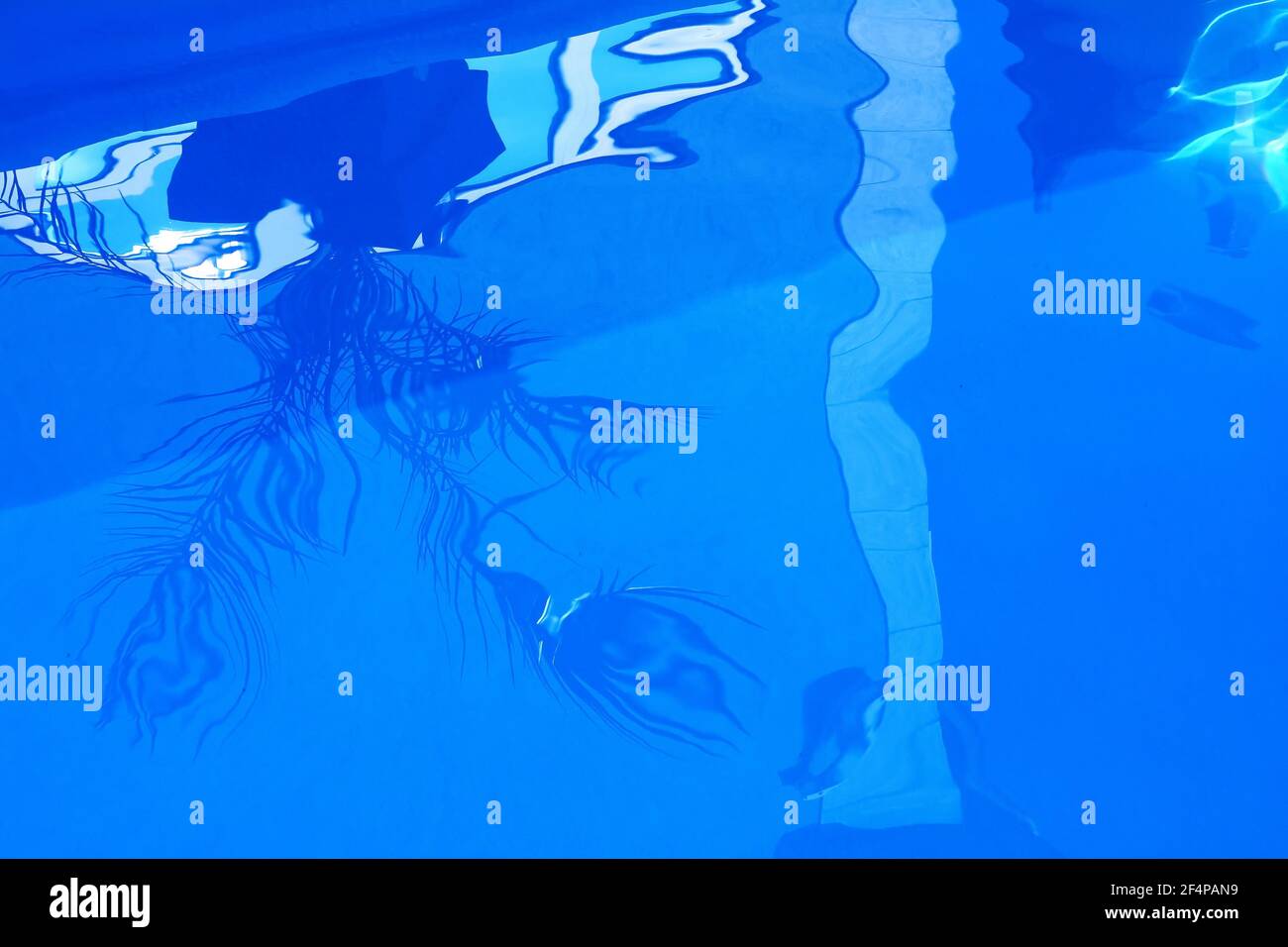 Abstract water reflection. Water abstract background, Swimming pool ...