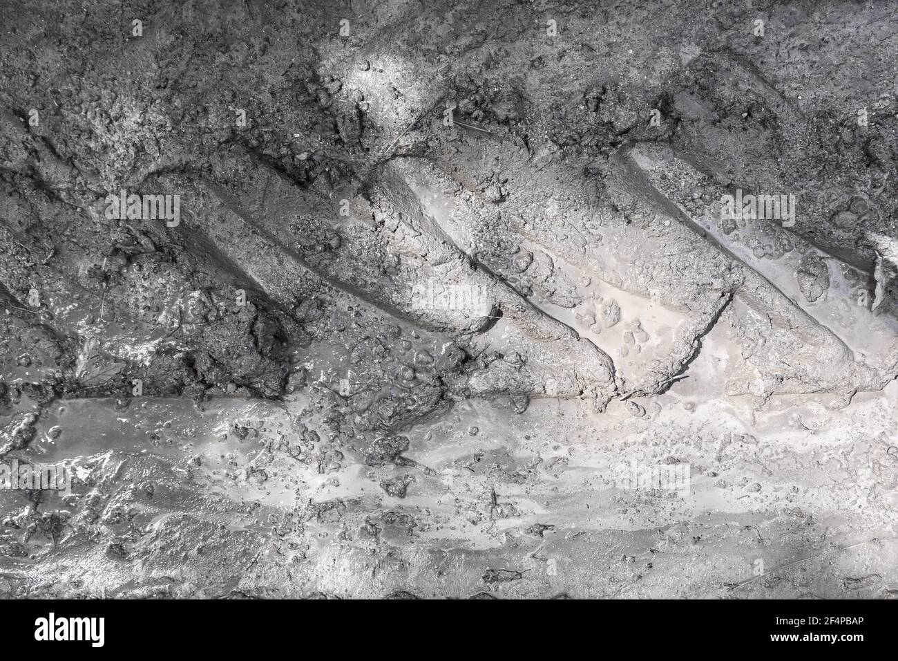Dirty Mud texture or wet gray soil as natural background Stock Photo ...