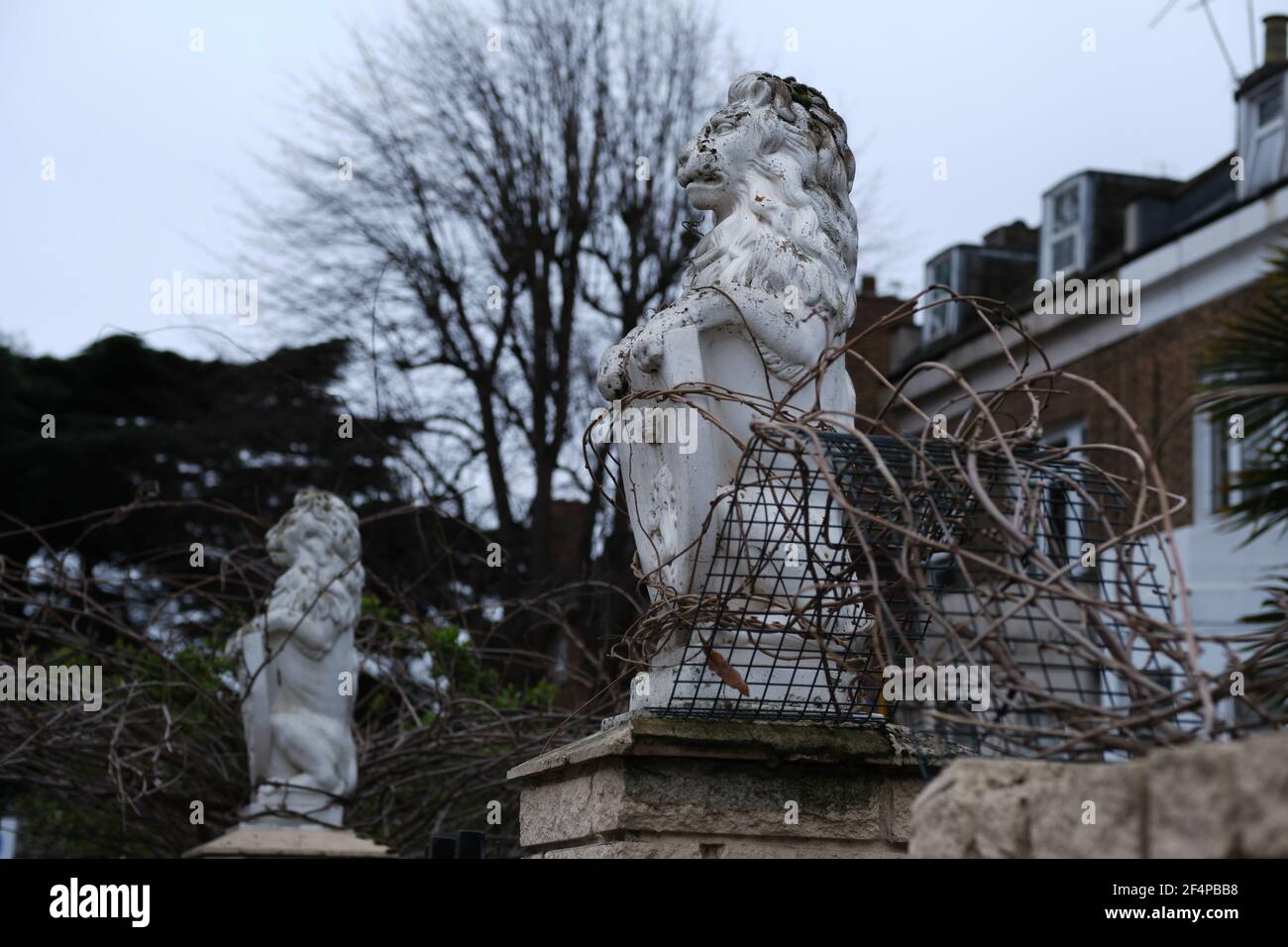 Old white Lion statues at the gate Stock Photo - Alamy