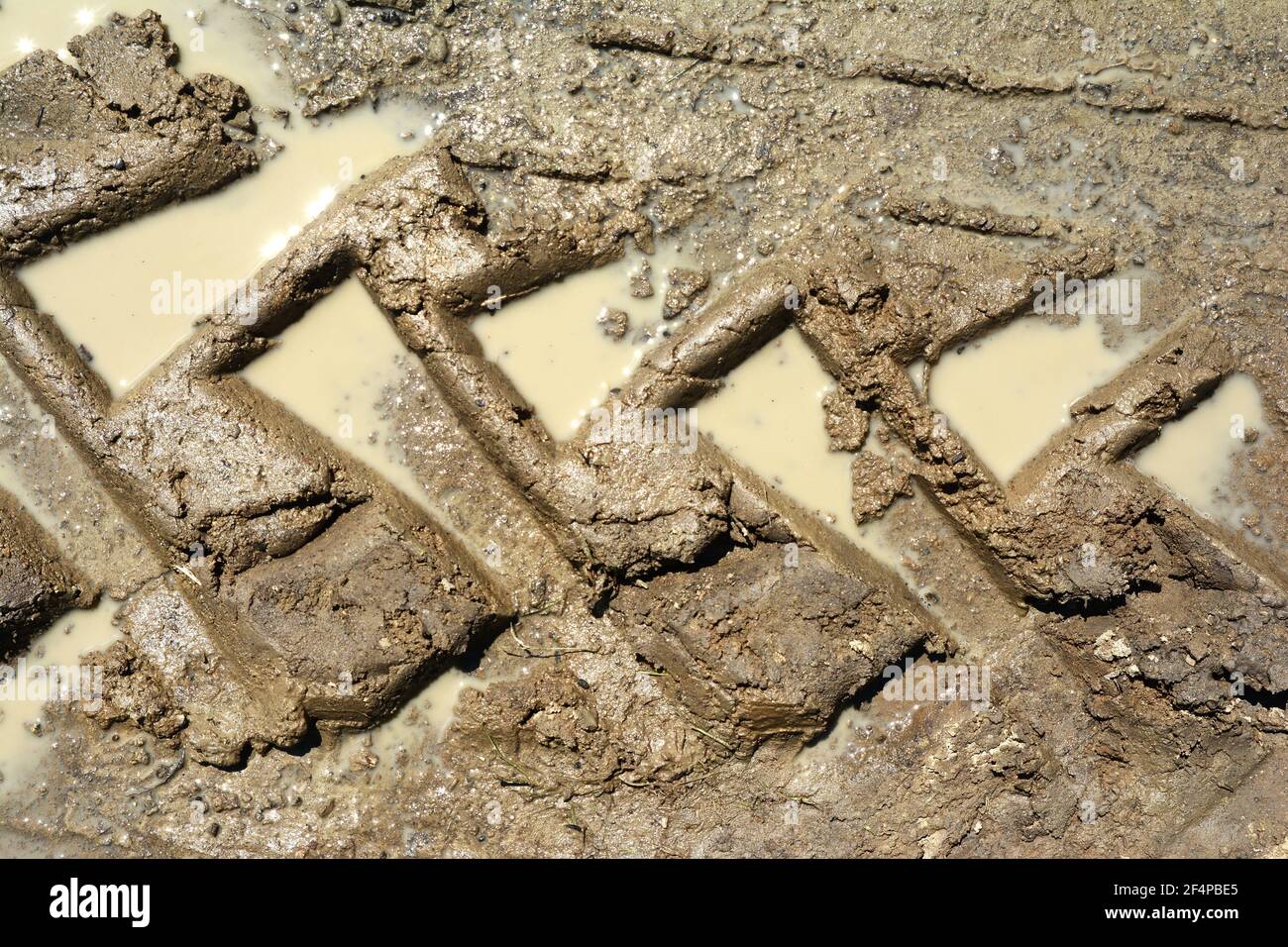 Dirty Mud texture or wet gray soil as natural background Stock Photo ...