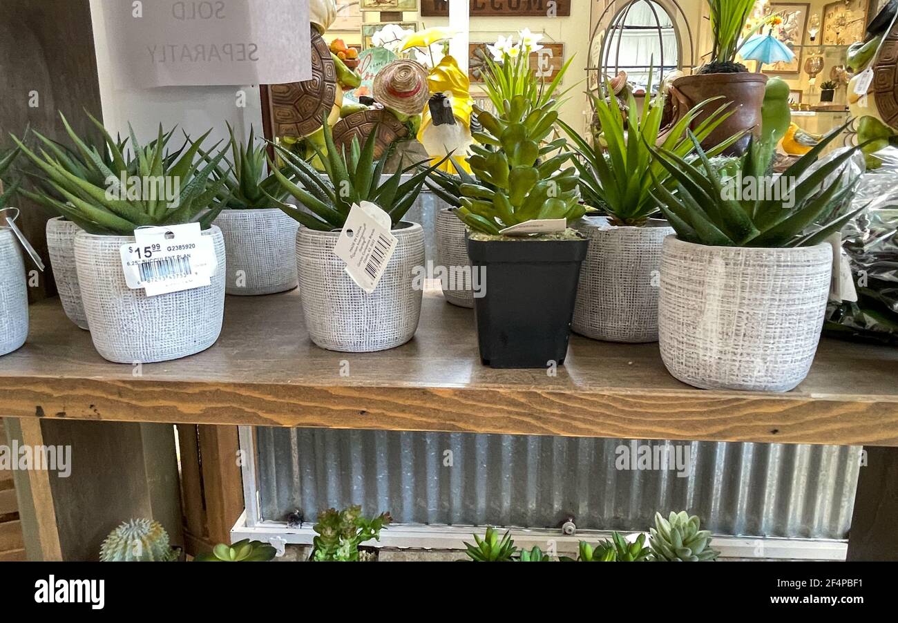 Orlando, FL USA - February 27, 2021: The spring and summer interior ...