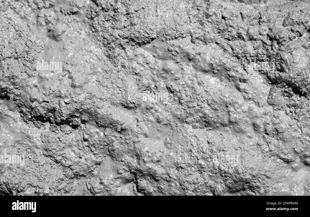 Dirty Mud texture or wet gray soil as natural background Stock Photo ...