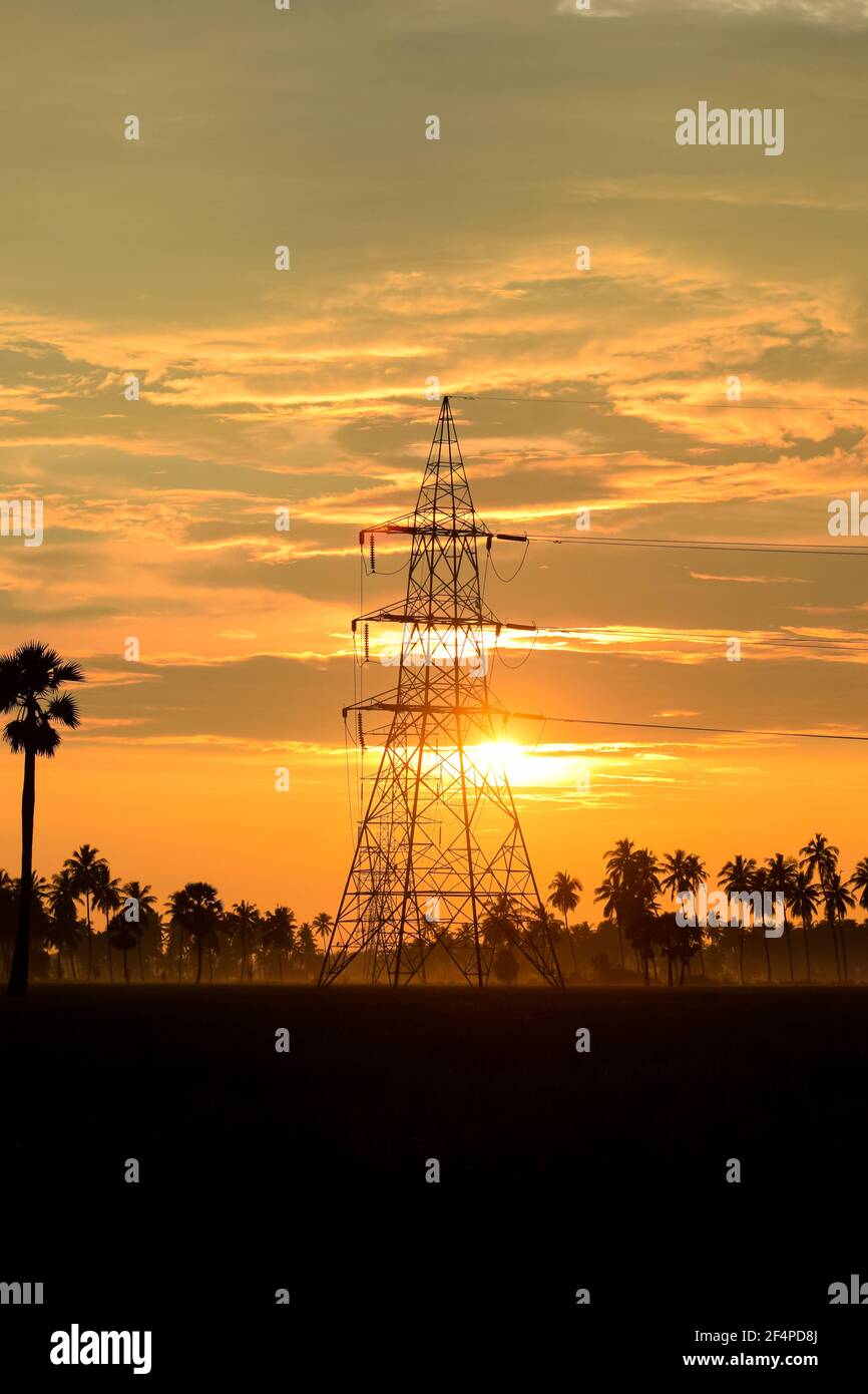 Vertical shot of the golden sunset over the silhouettes of trees and ...