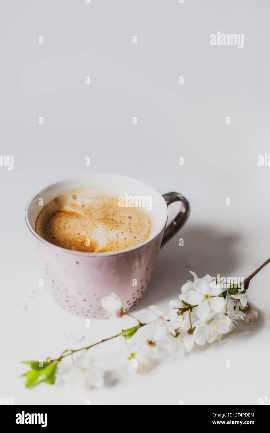 A cup of coffee in a light pink cup and spring blooming branch with ...