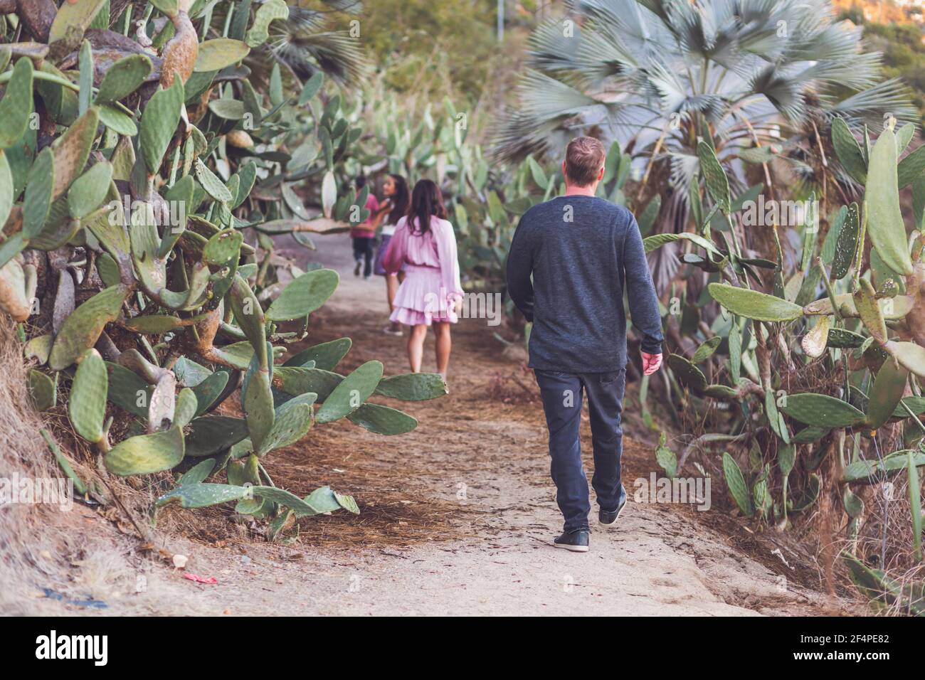 Family of four walking down a cactus trail - their back to camera Stock ...