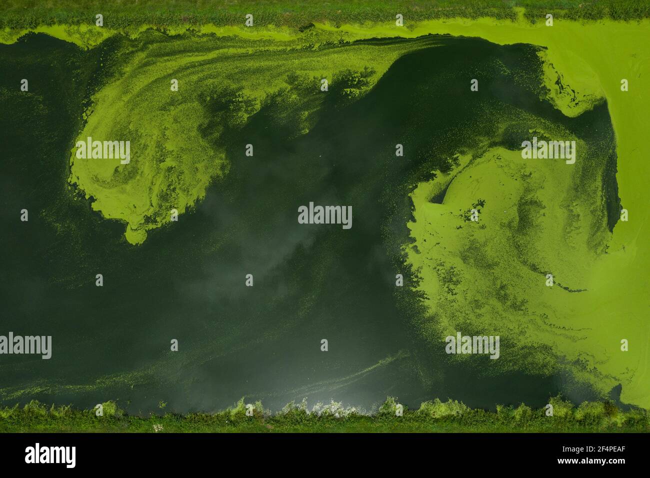 Aerial algae hi-res stock photography and images - Alamy