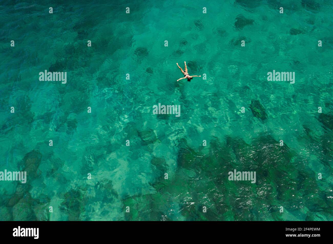 Puerto rico sea underwater hi-res stock photography and images - Alamy