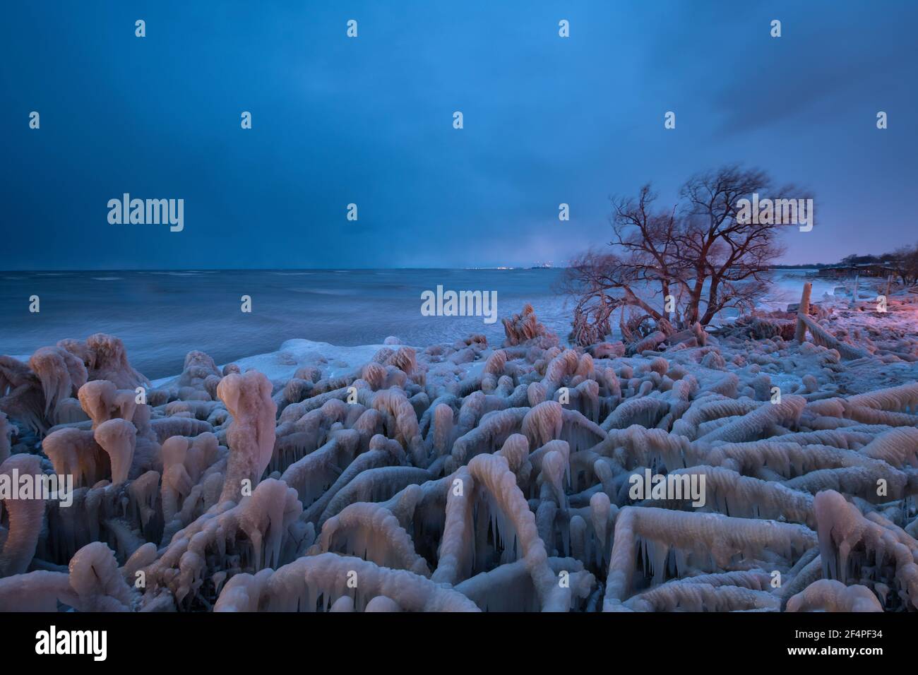 Trees Encased In Ice in Lake Erie Winter Storm Stock Photo - Alamy