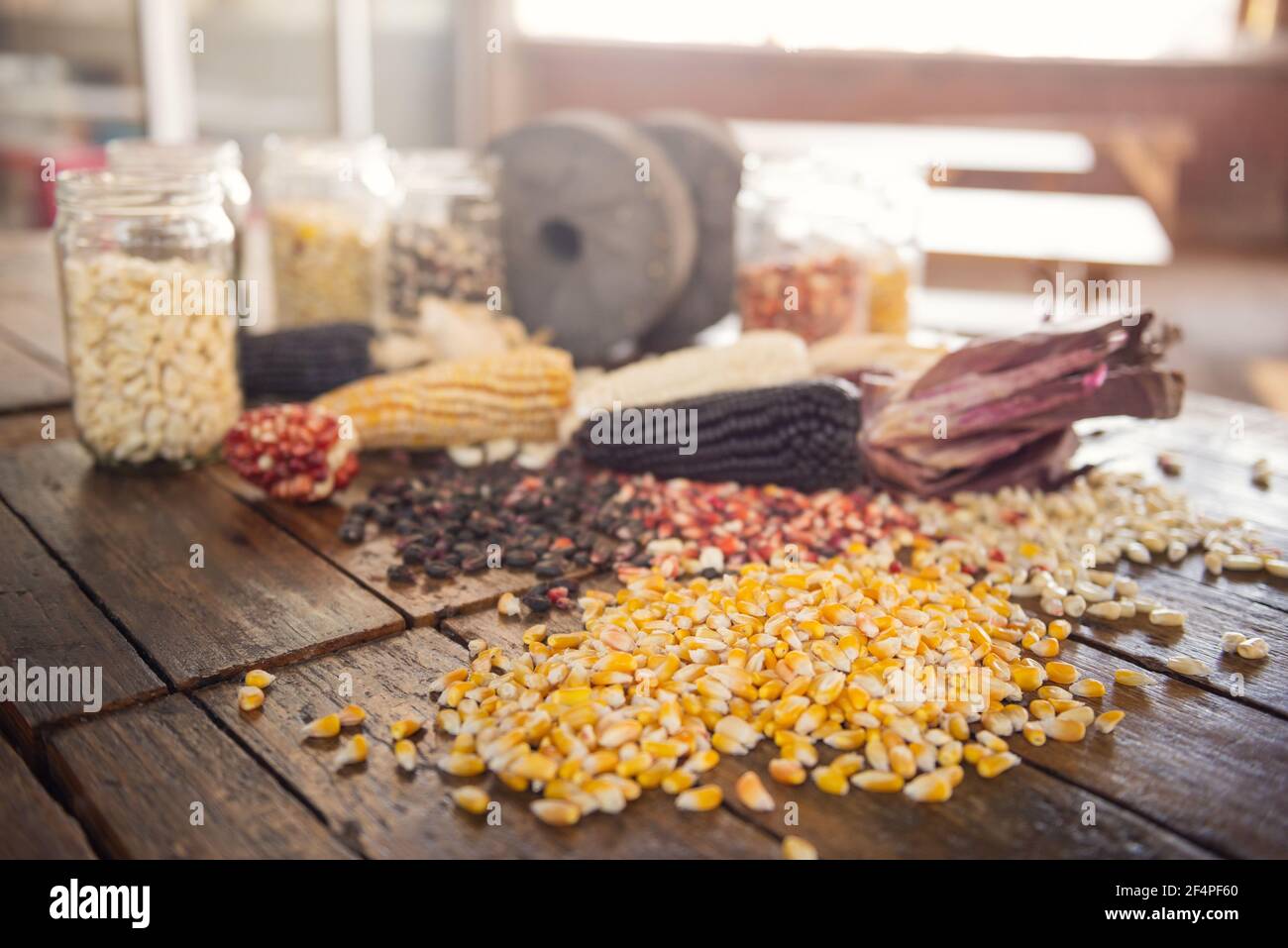 Different Colors Of Corn High Resolution Stock Photography and Images ...