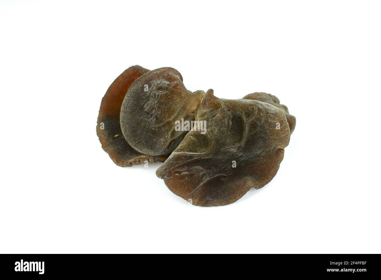 Jews ear (wood ear, Auricularia auricula, Hirneola polytricha, jelly ...