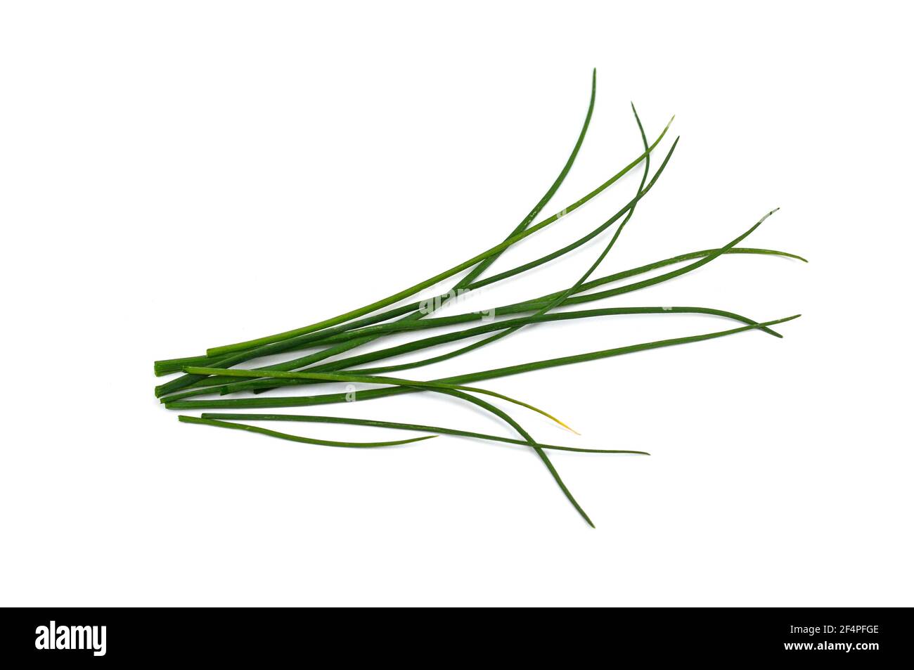 Chopped chives isolated. Fresh green chopped chives isolated on white ...