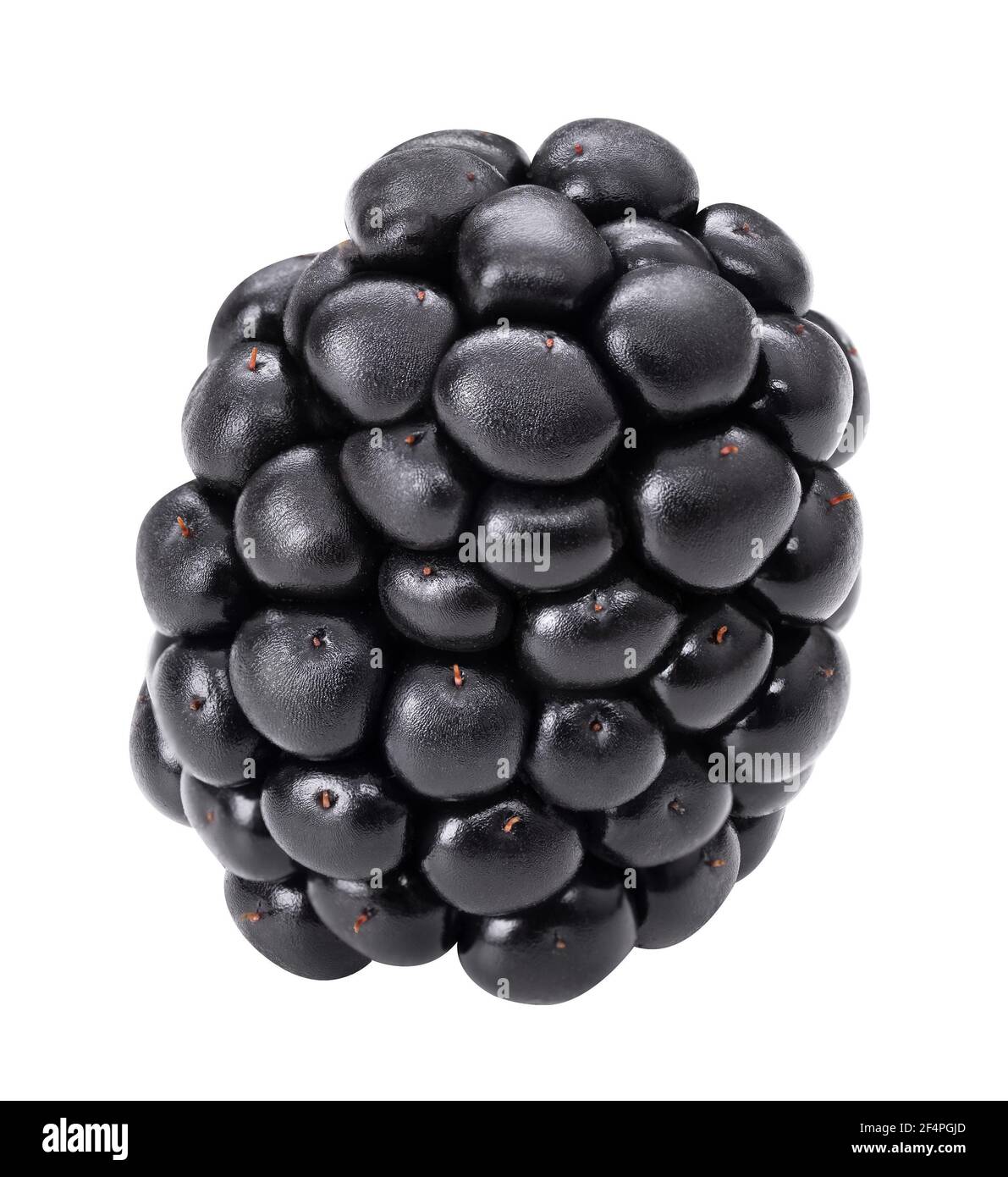 Single mulberry hi-res stock photography and images - Alamy