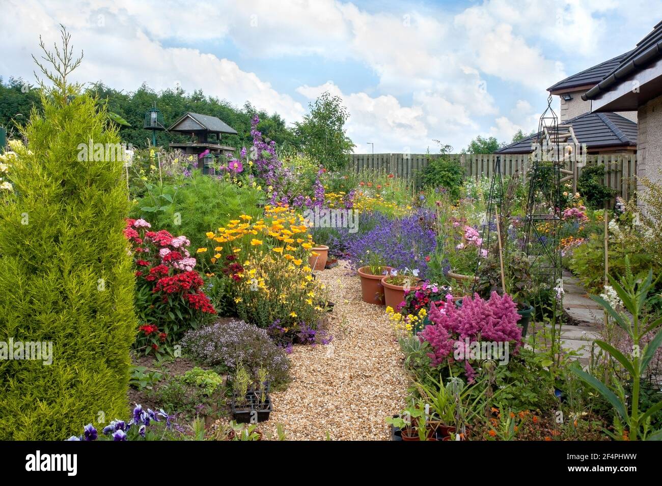 View of pretty sensory cottage style garden with path filled with ...
