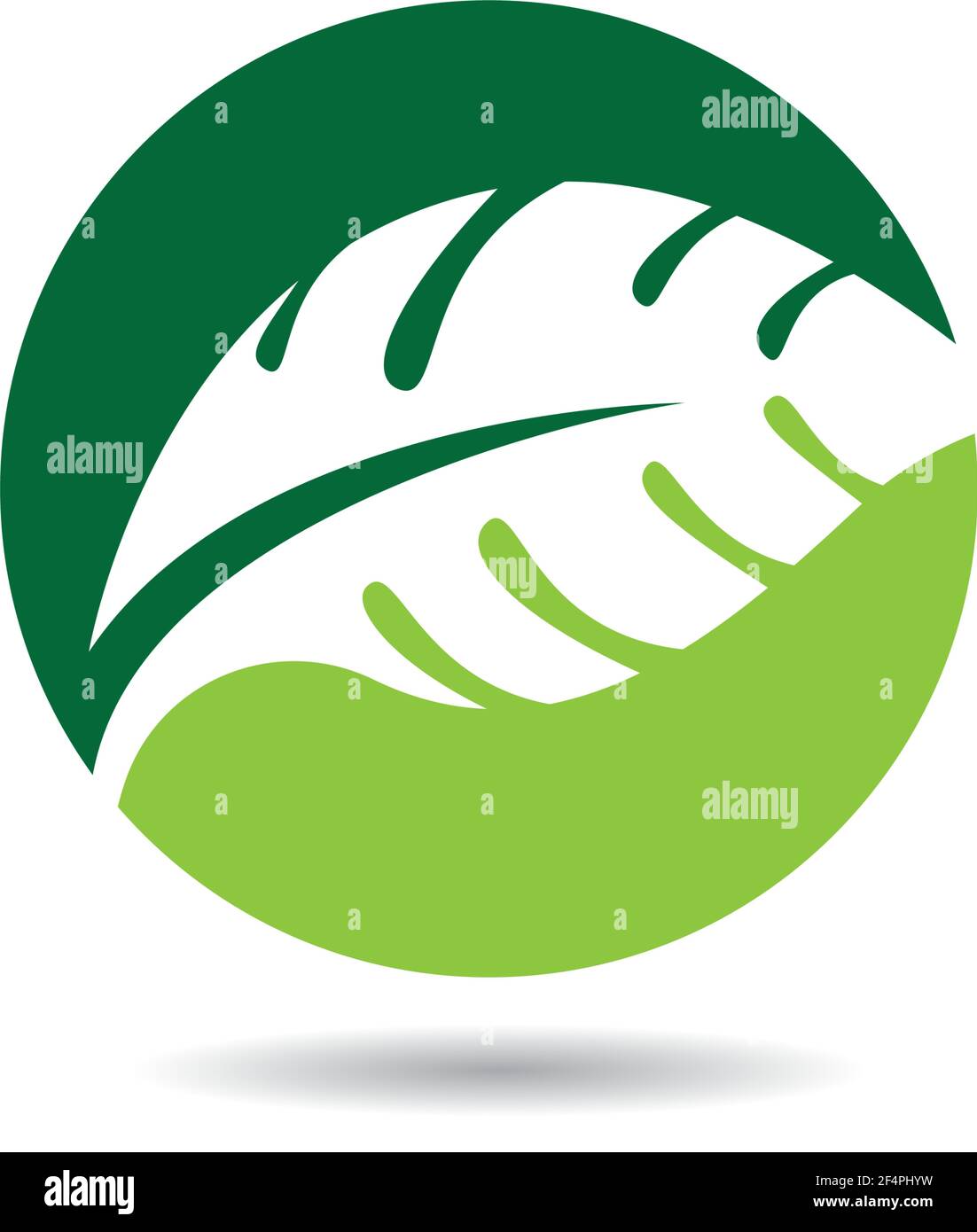 Taro plant Stock Vector Images - Alamy