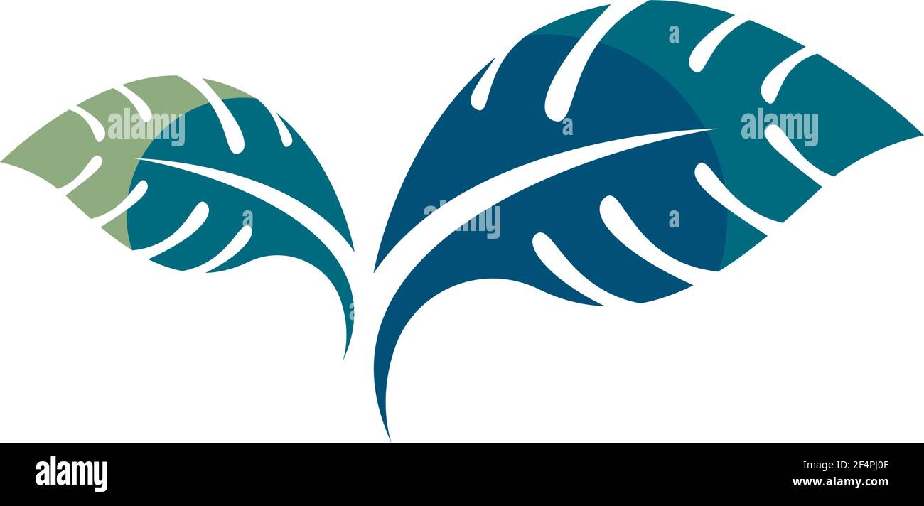 Taro leaves icon logo creative illustration Stock Vector Image & Art ...