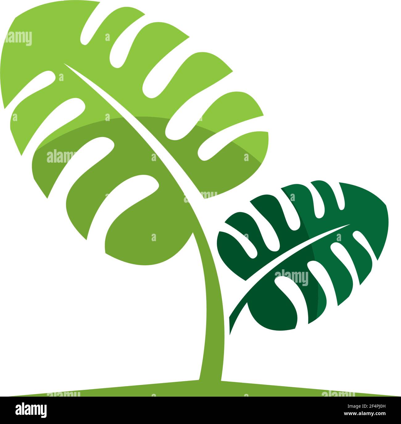 Taro leaves icon logo creative illustration Stock Vector Image & Art ...