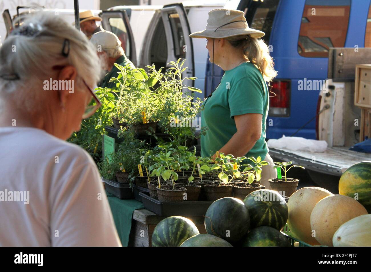 Scene at a farmer's market in Virginia, USA Stock Photo - Alamy